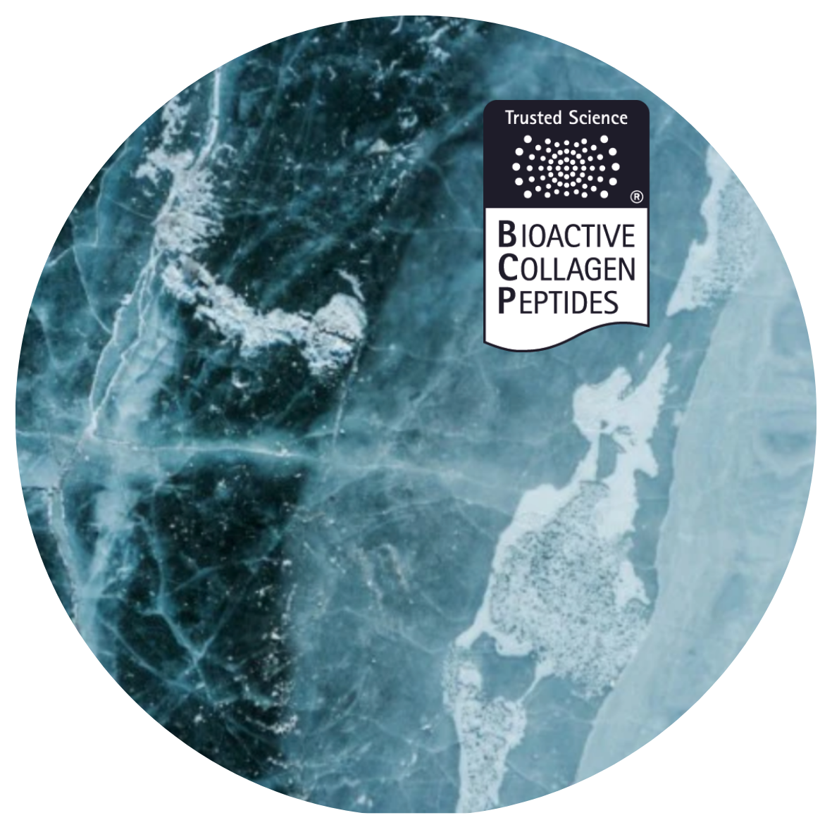 FORTIBONE® Collagen Peptides – Sparkle Wellness